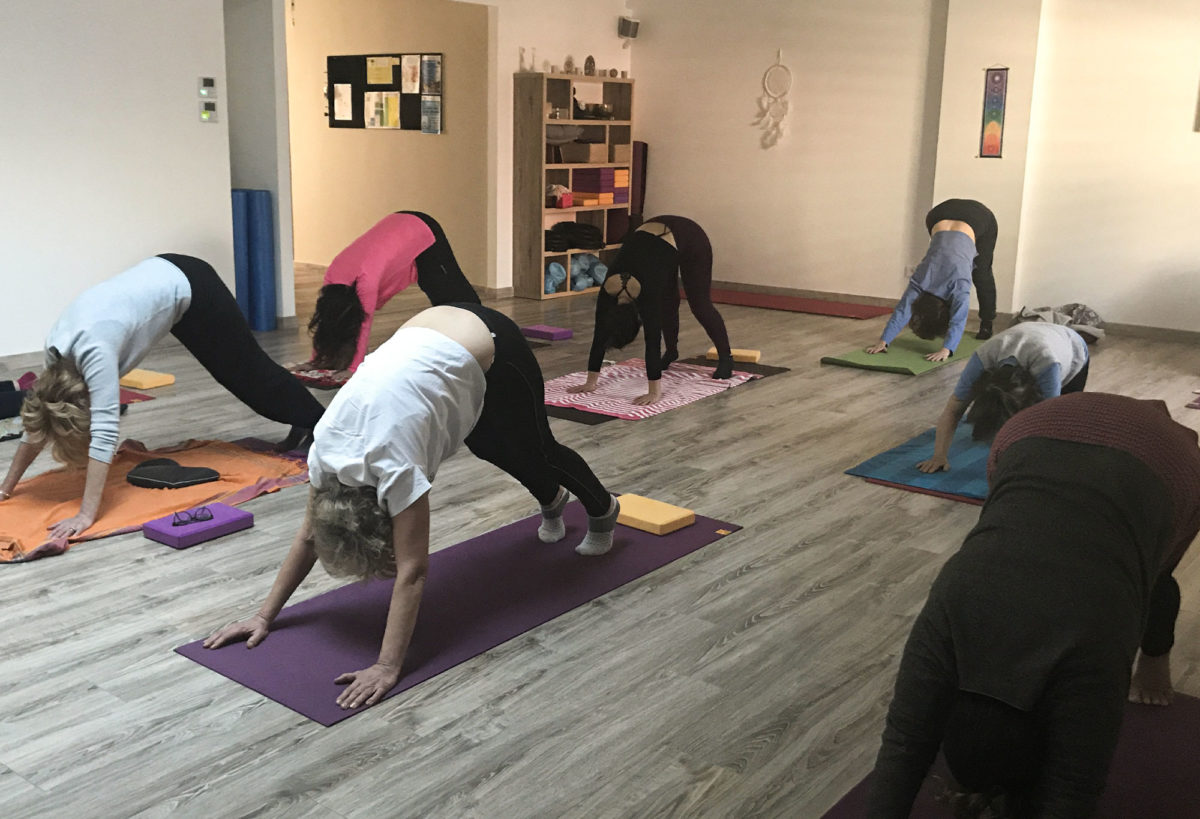 Viniyoga au Centre Ananda Yoga à Saint-Raphaël